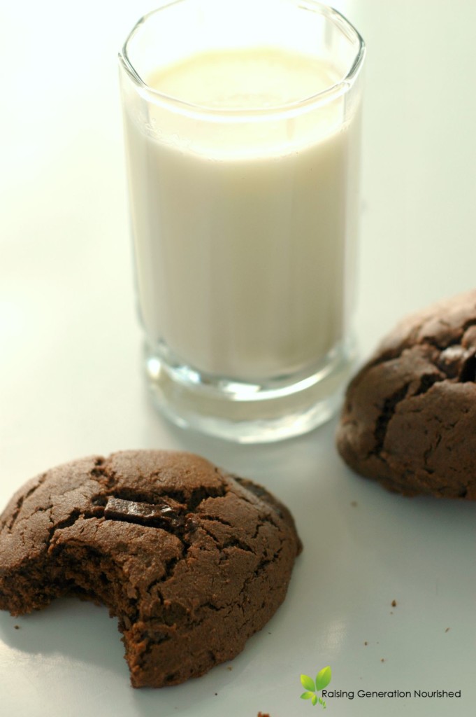 Gluten Free Chocolate Chunk Blender Cookies - Raising Generation Nourished