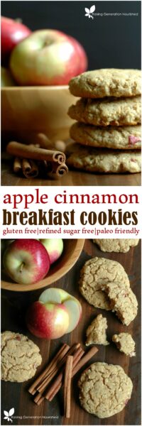 Healthy Apple Cinnamon Breakfast Cookies :: Gluten Free, Refined Sugar ...