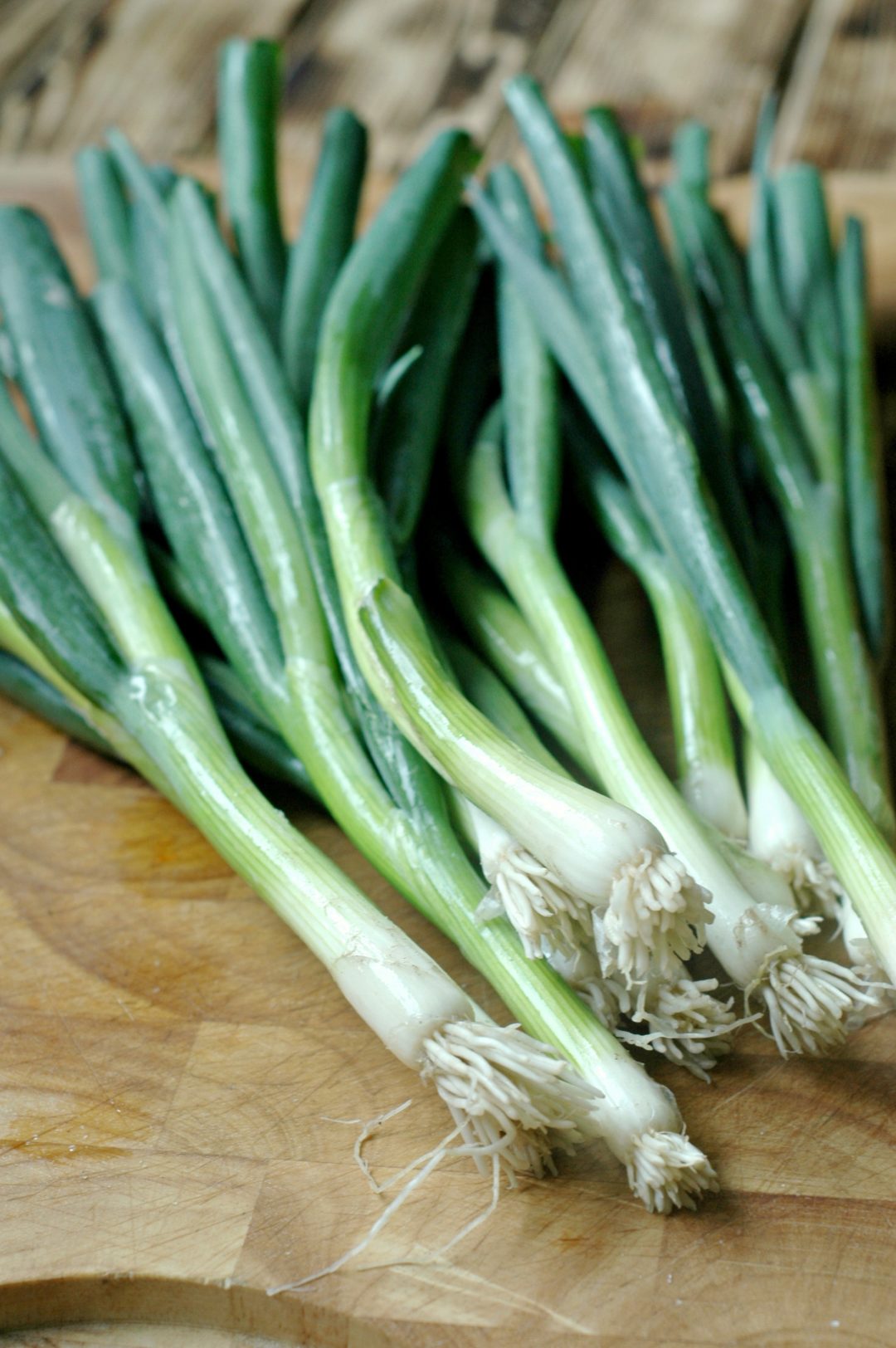 Spring Onion Soup - Raising Generation Nourished