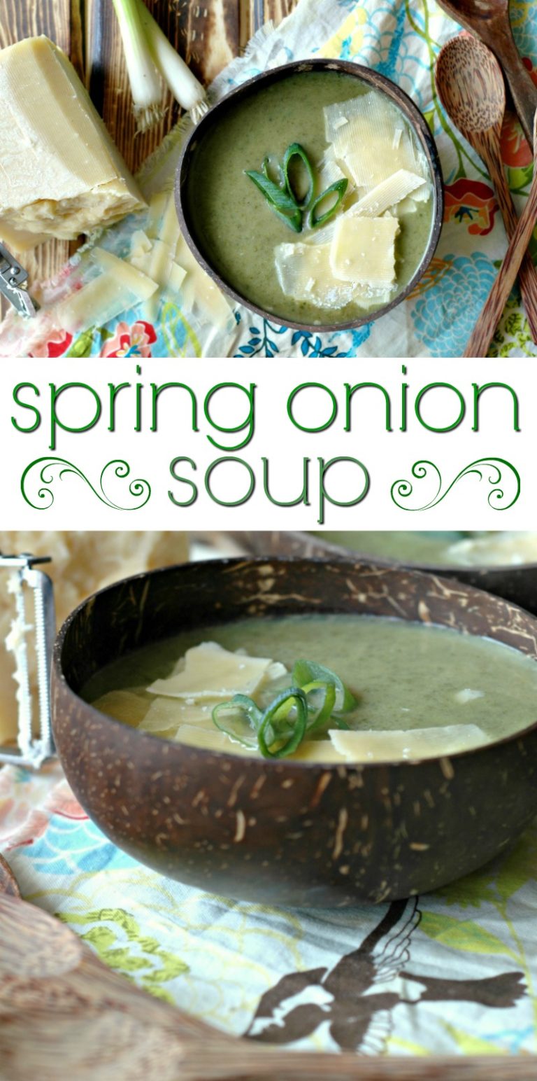 Spring Onion Soup - Raising Generation Nourished