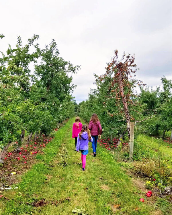 Gluten Free Fresh Apple Pancakes - Raising Generation Nourished