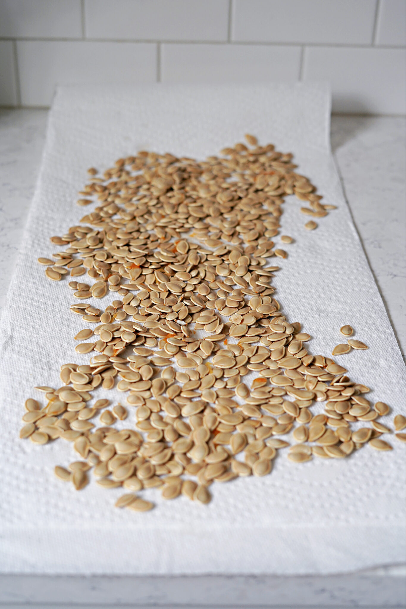 How To Roast Crispy Pumpkin Seeds :: Plus 6 Different Flavor Variations ...