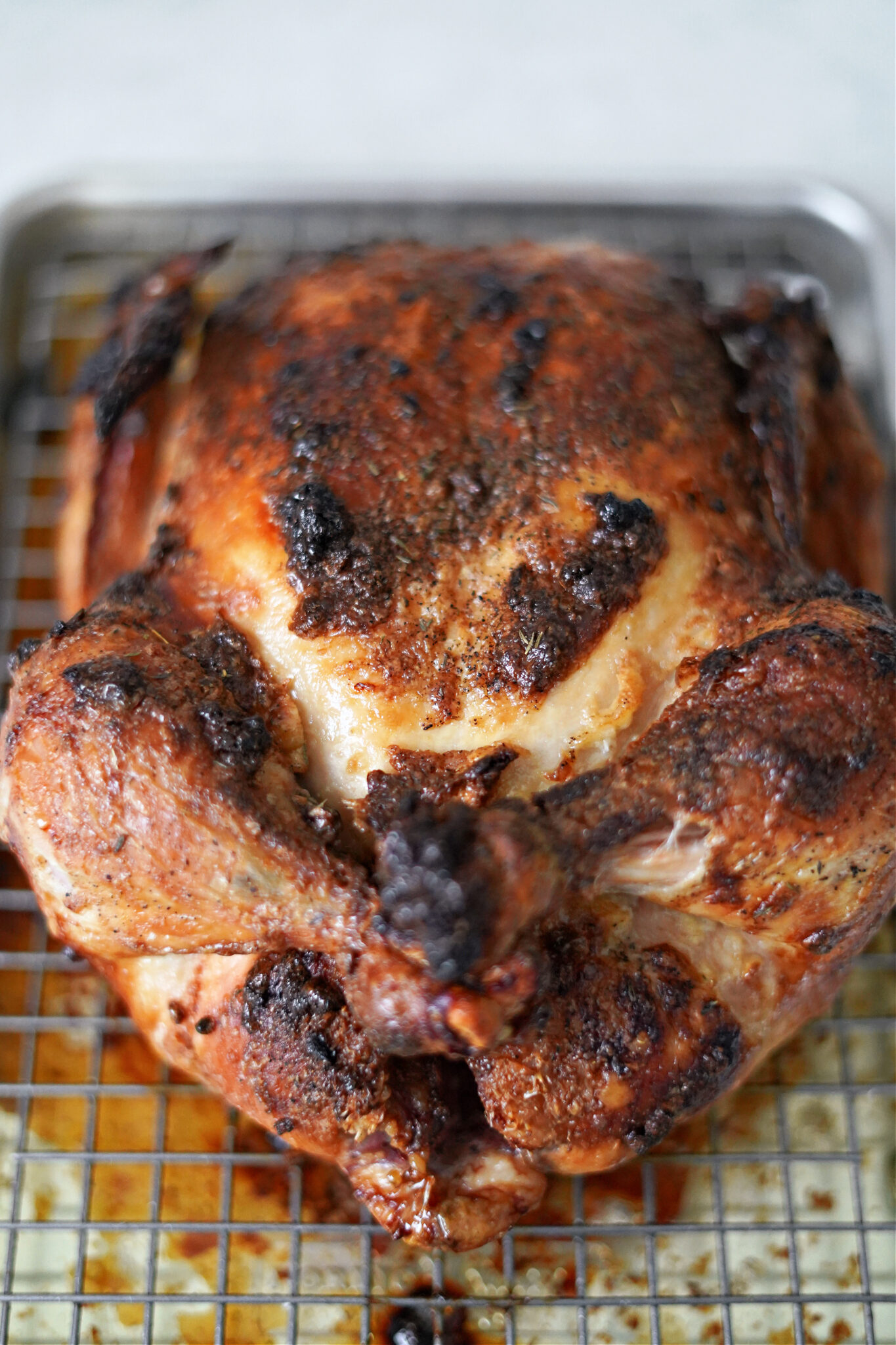 Mayo Roasted Chicken :: The most flavorful & tender roasted chicken ...